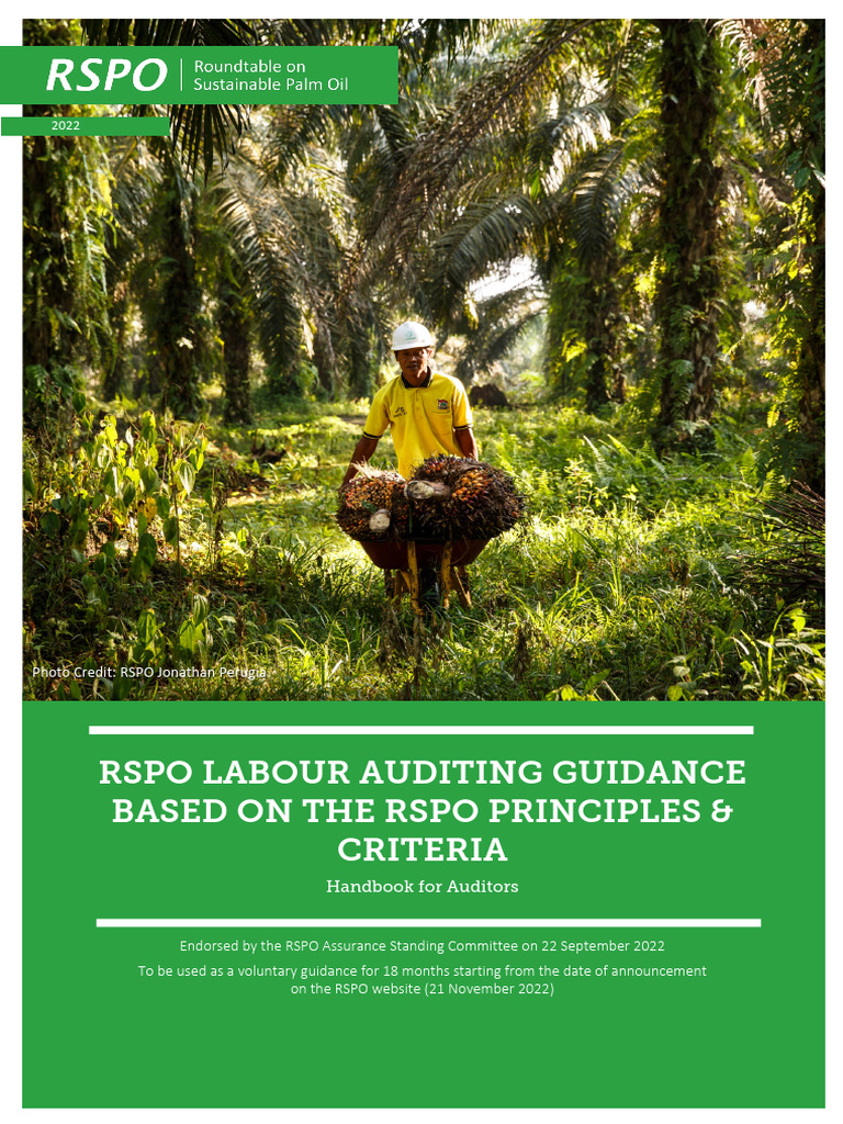 RSPO Labour Auditing Guidance 30122022 | PDF | Audit | Employment