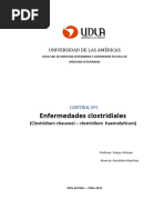 Enfermedades Clostridiales en Rumiantes | PDF | Infección | Oveja