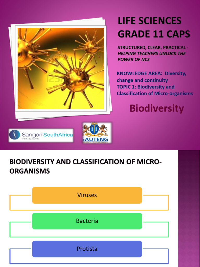 Biodiversity of Micro-Organisms | PDF | Bacteria | Organisms