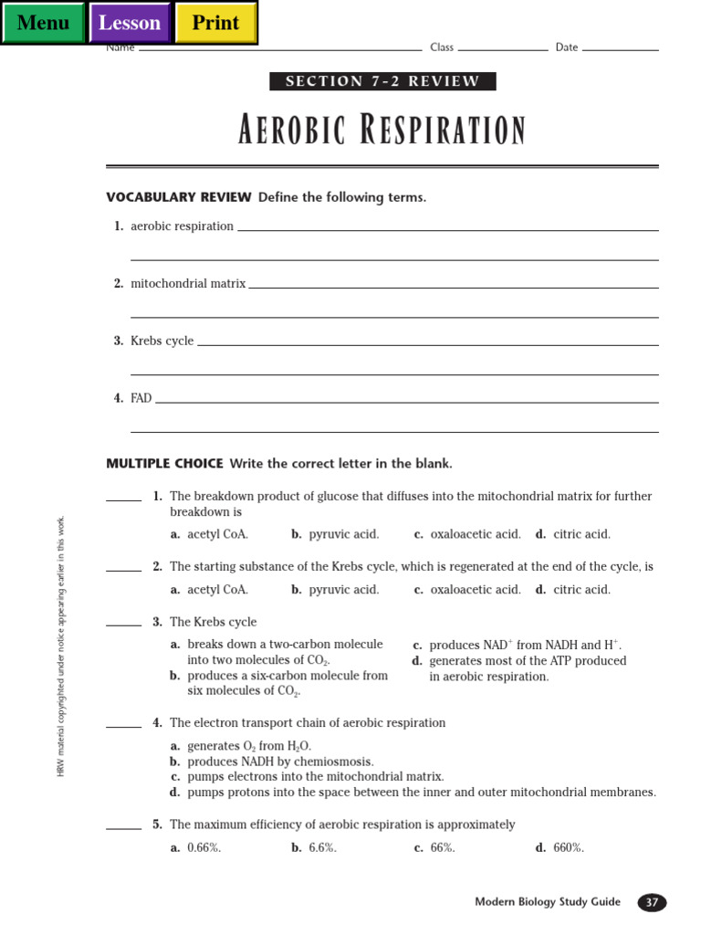 Aerobic Respriration Worksheet | PDF | Cellular Respiration | Diet ...