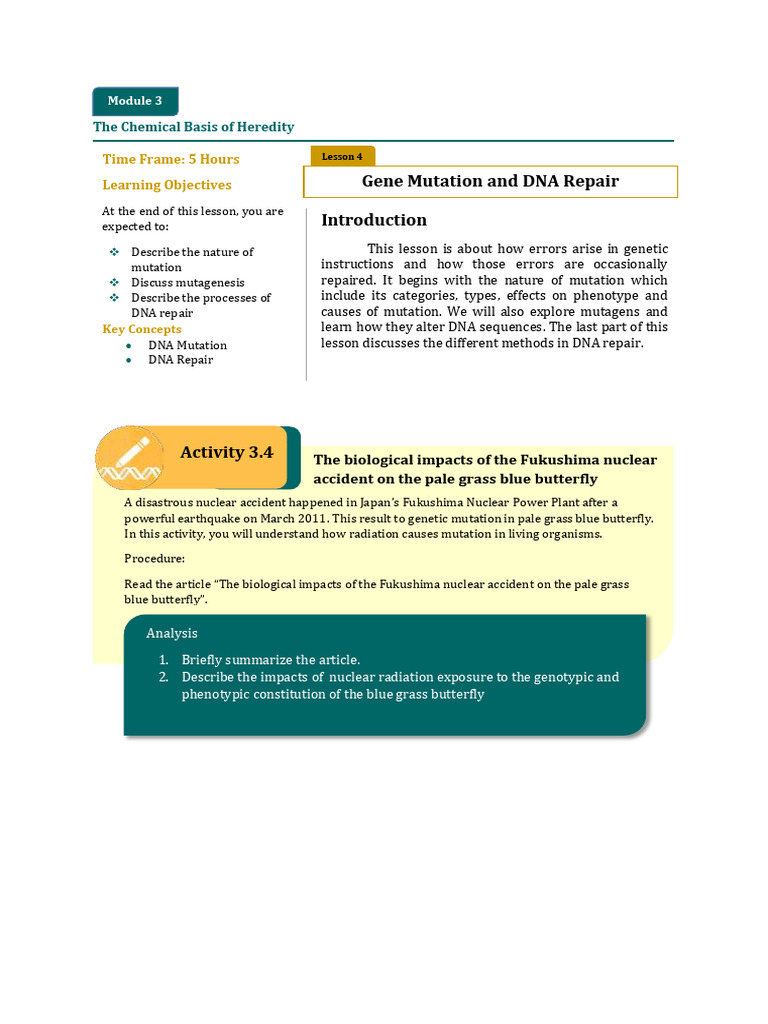 Genetics Module 3 Lesson 4 | Download Free PDF | Dna Repair | Point ...