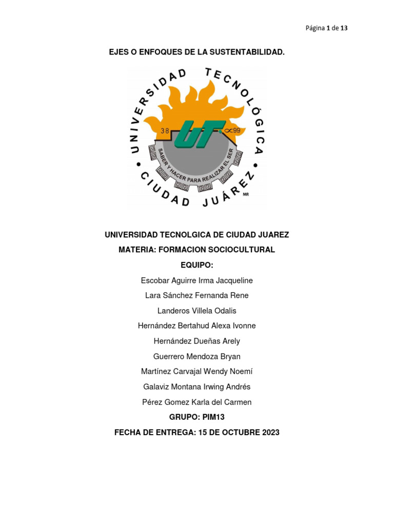 Ejes o Enfoques de La Sustentabilidad | PDF | Sustentabilidad | Desarrollo sostenible