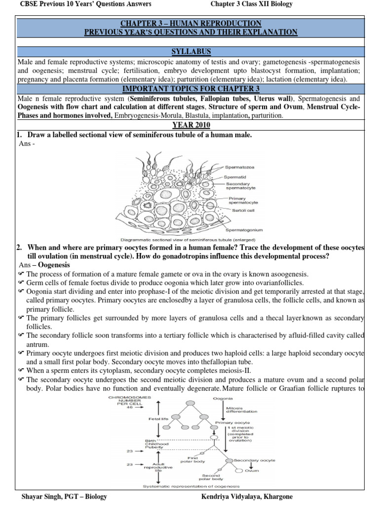 Chapter 3 Practice 1 | PDF | Menstrual Cycle | Luteinizing Hormone