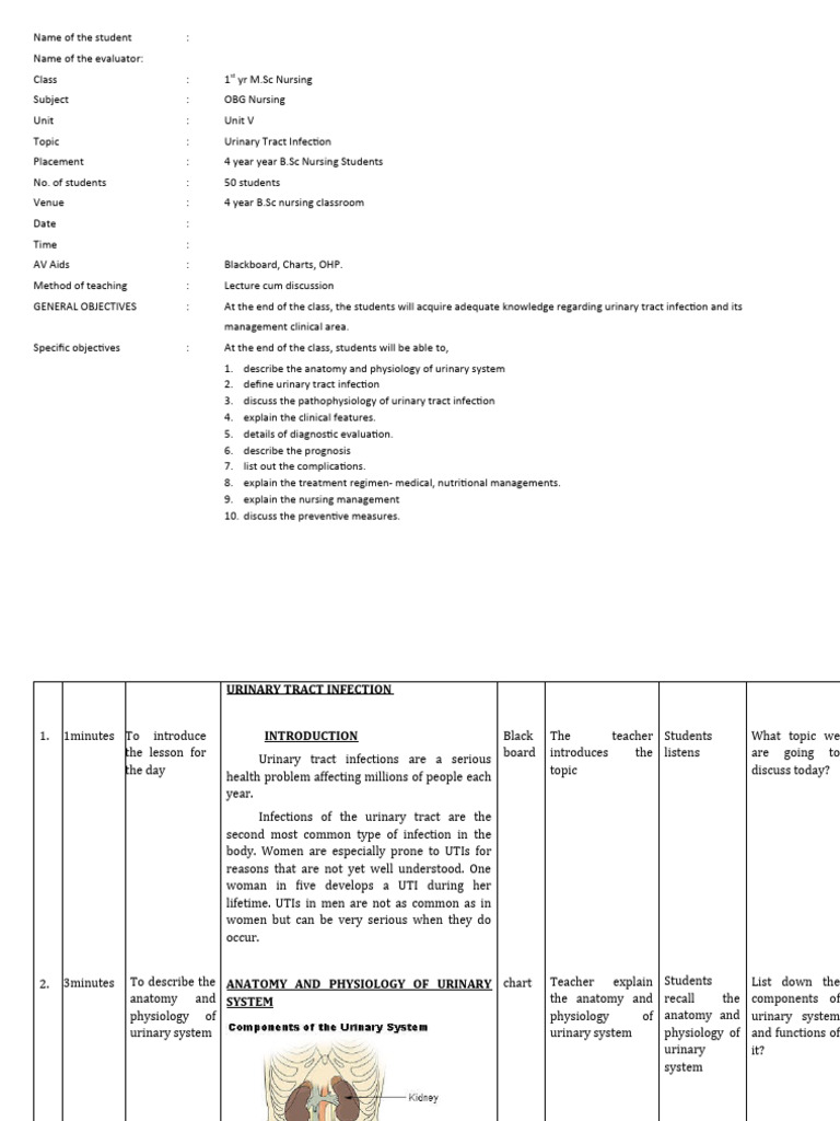 Lesson Plan UTI | PDF | Urinary Tract Infection | Causes Of Death