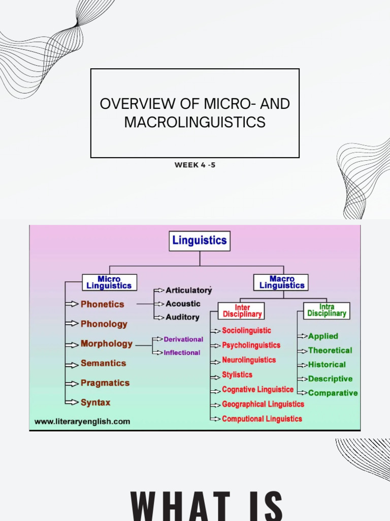 Overview of Micro Macro Linguistics | PDF | Linguistics | Word