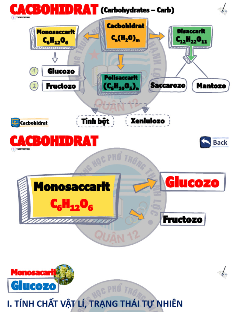 2-Chương 2 - Cacbohidrat | PDF