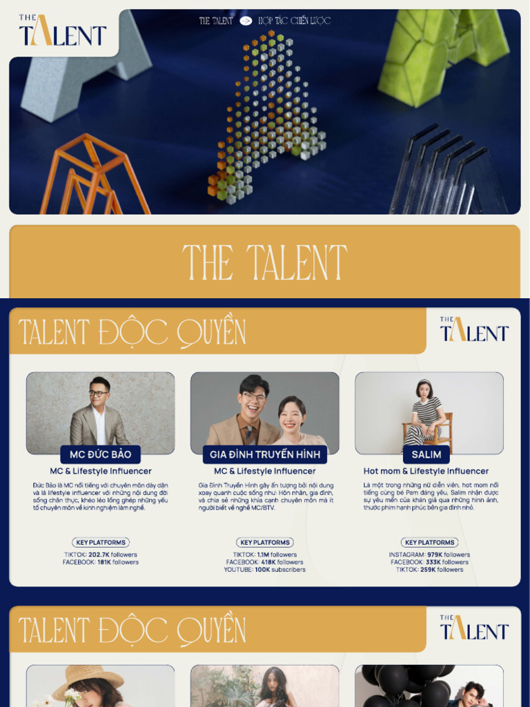 The Talent Profile (Viet Ver) | PDF