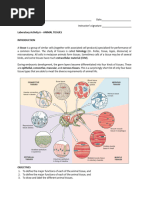 Toad Dissection Guide | PDF