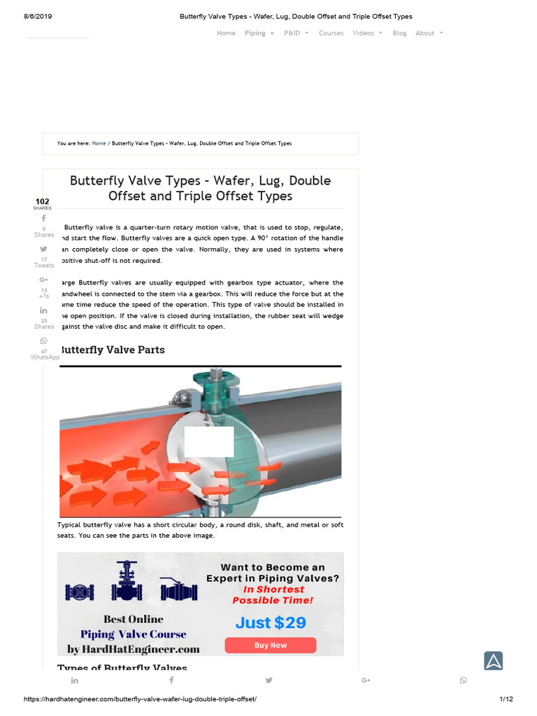 Butterfly Valve Types - Wafer, Lug, Double Offset and Triple Offset ...