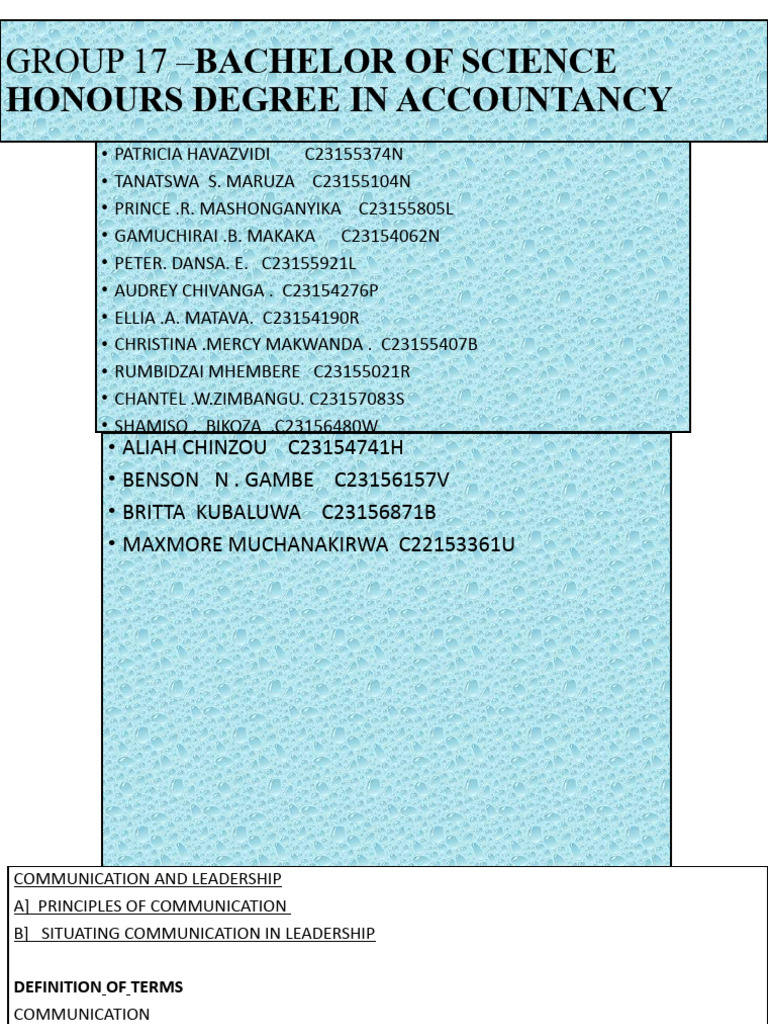 Group 17 Presentation | PDF | Leadership | Communication