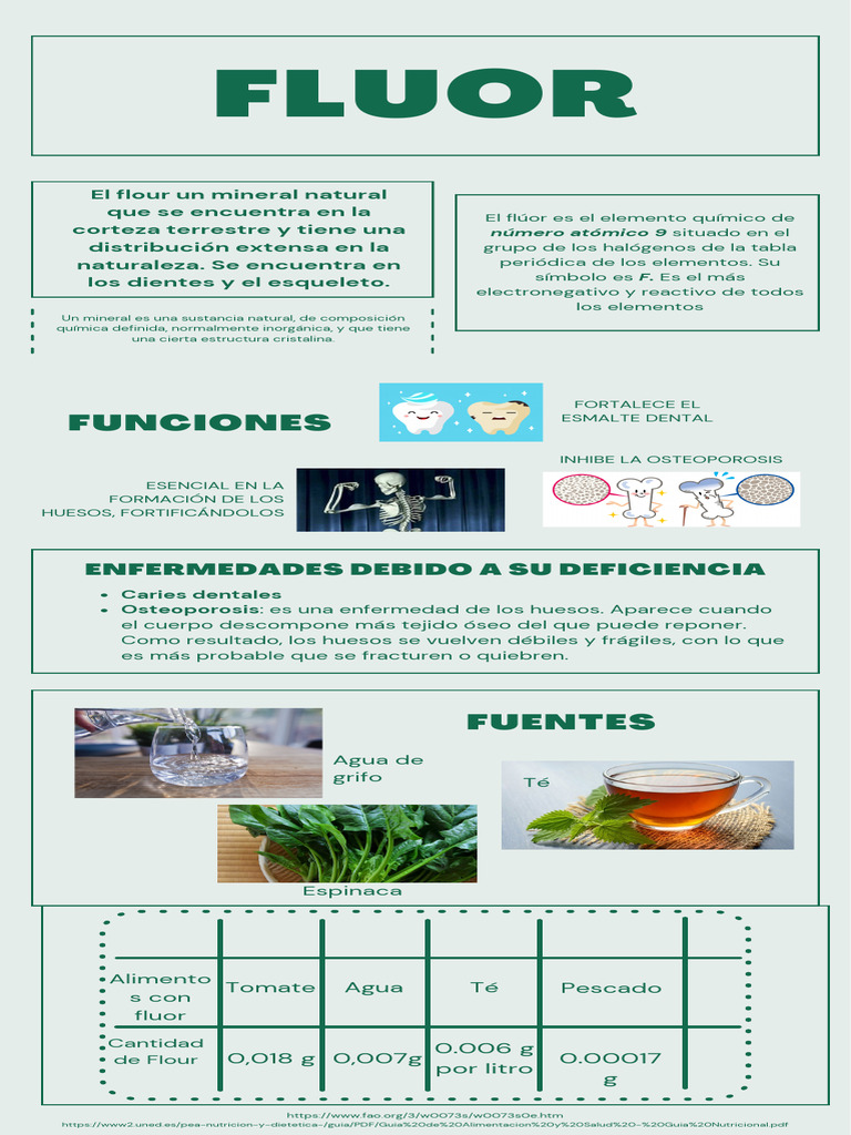 Biología - Fluor | PDF | Flúor | Hueso