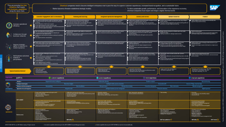 Intelligent Enterprise Poster For Chemicals - Business Capabilities ...