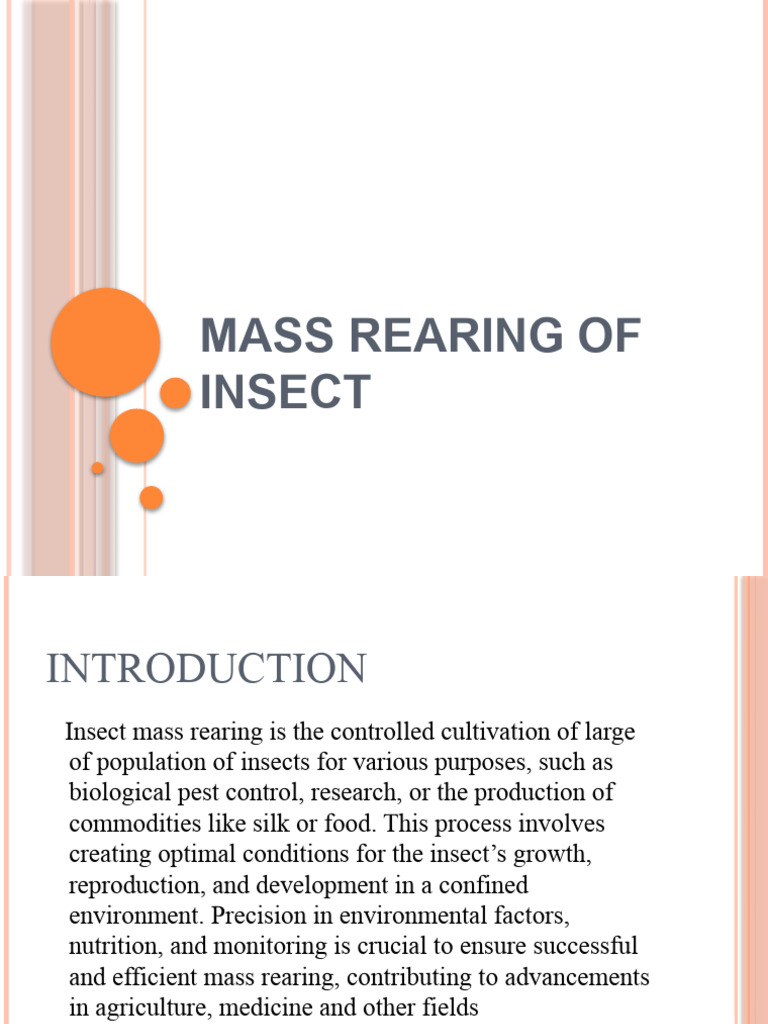 Mass Rearing of Insect | PDF