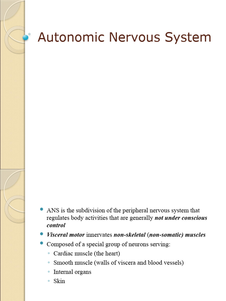 ANS Revised | PDF | Autonomic Nervous System | Acetylcholine