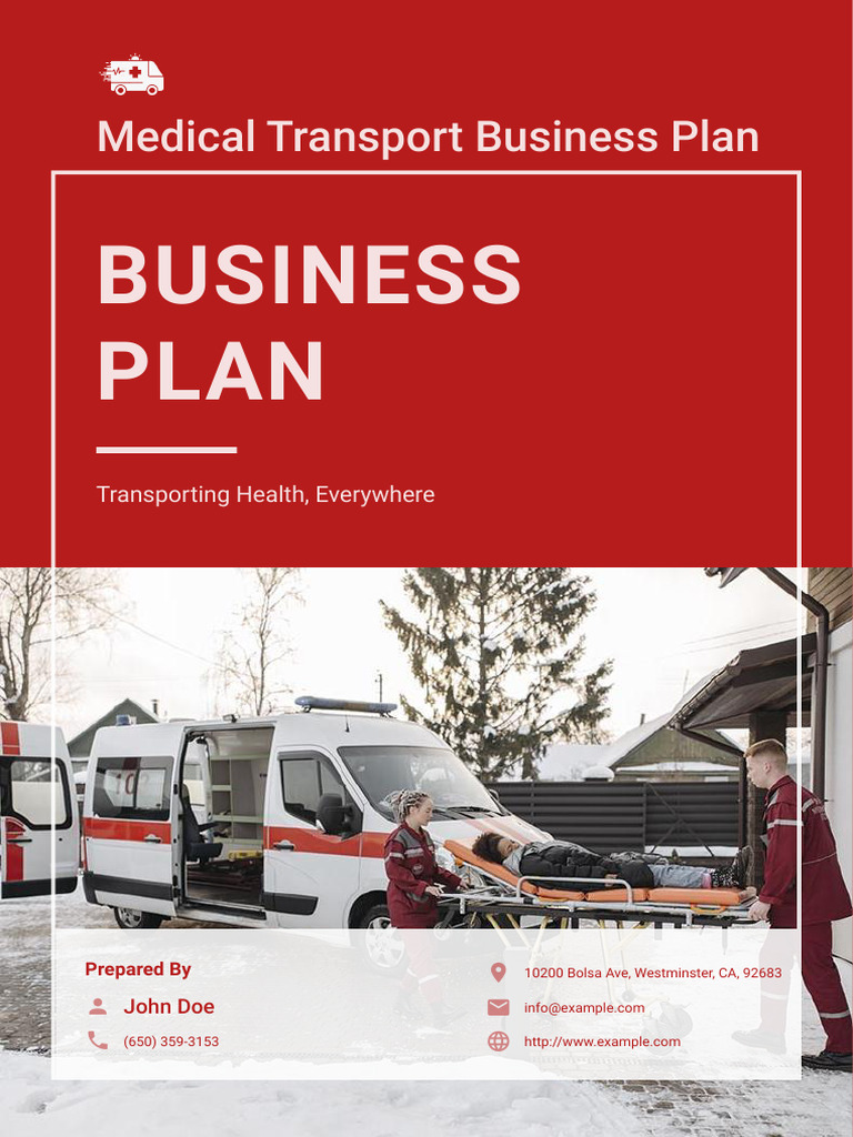 Medical Transport Business Plan Example Pdf Business Plan Marketing