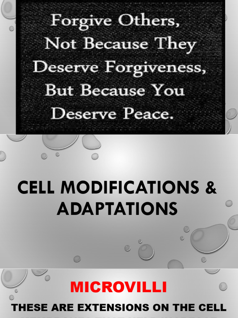 Cell Modifications Adaptations | PDF