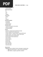 Az Emberi Test Felépítése Anatómia Ápolás | PDF