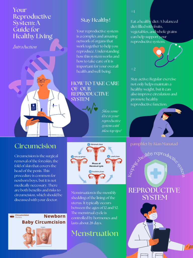 Abstract Health Care Brochure | PDF | Circumcision | Reproductive System