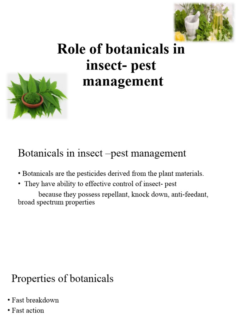 Role of Botanicals in Insect Pest | PDF | Pest (Organism) | Pest Control