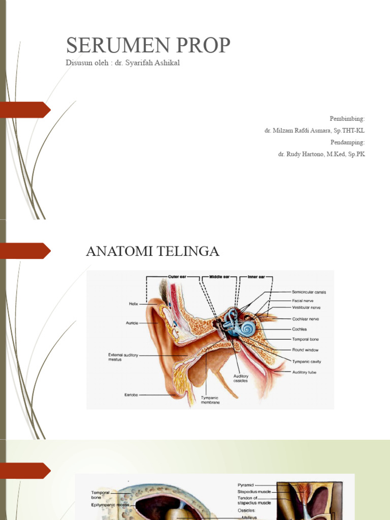 Serumen Prop - Syarifah Ashikal Salinan | PDF
