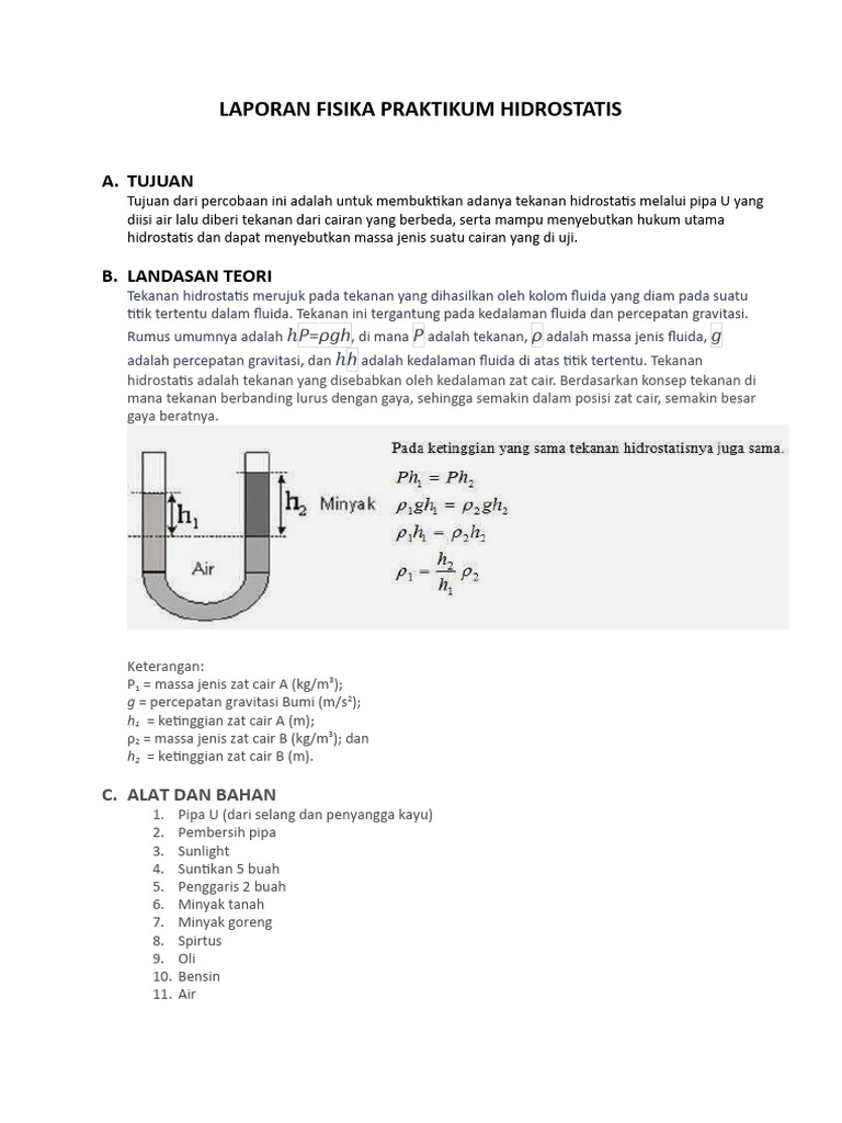 Laporan Fisika Praktikum Hidrostatis | PDF | Sains & Matematika | Teknologi & Rekayasa