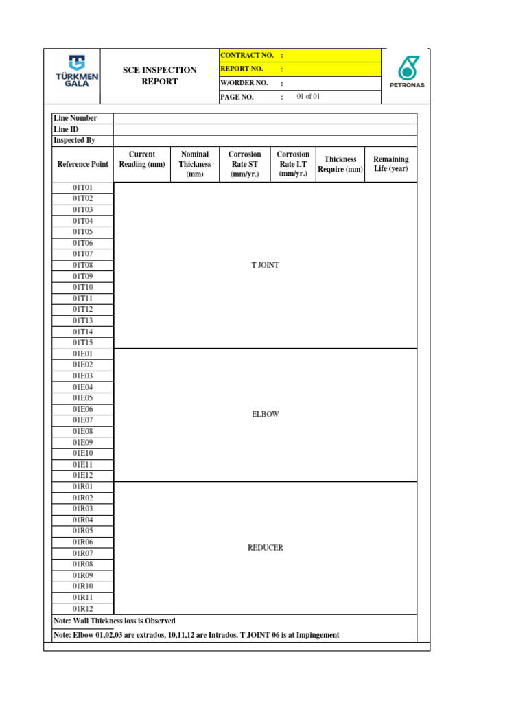 Corrosion Inspection Report Summary | PDF
