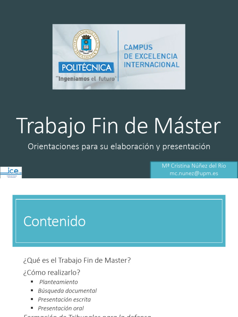 Orientaciones TFM | PDF