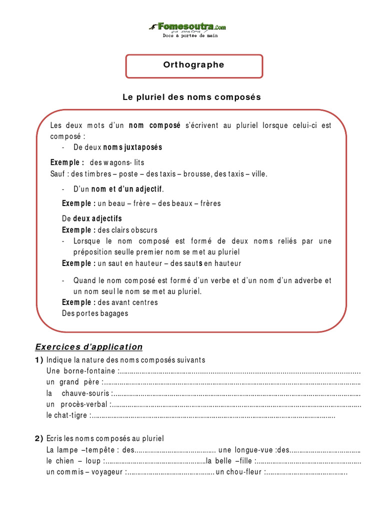 Pluriel des Noms Composés : Exercices | PDF