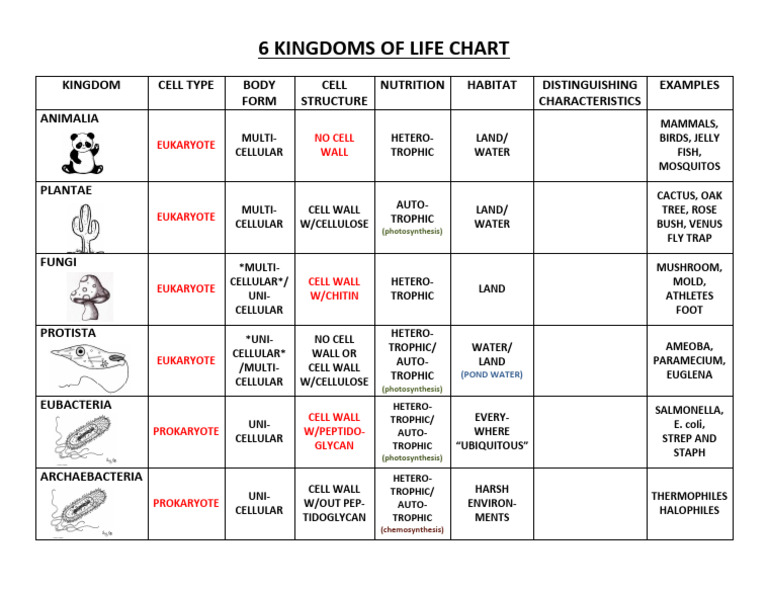 2017 6 KINGDOMS OF LIFE CHART Answers | PDF | Cell (Biology) | Nature