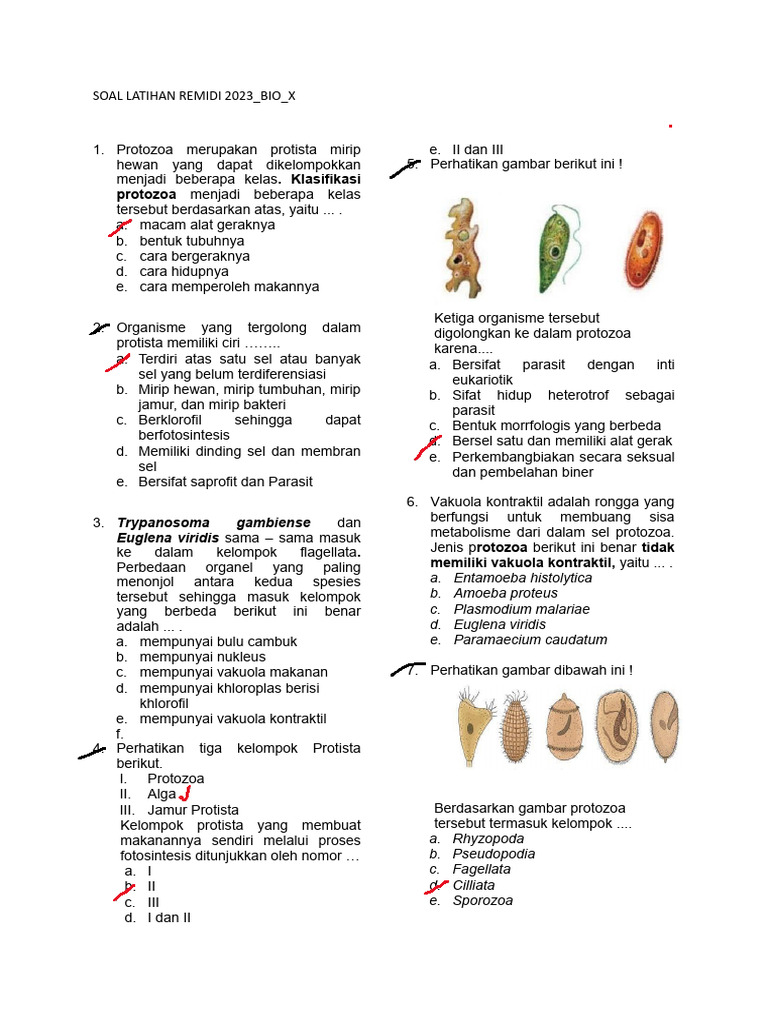 SOAL LATIHAN PROTISTA DAN EKOLOGI Remake | PDF