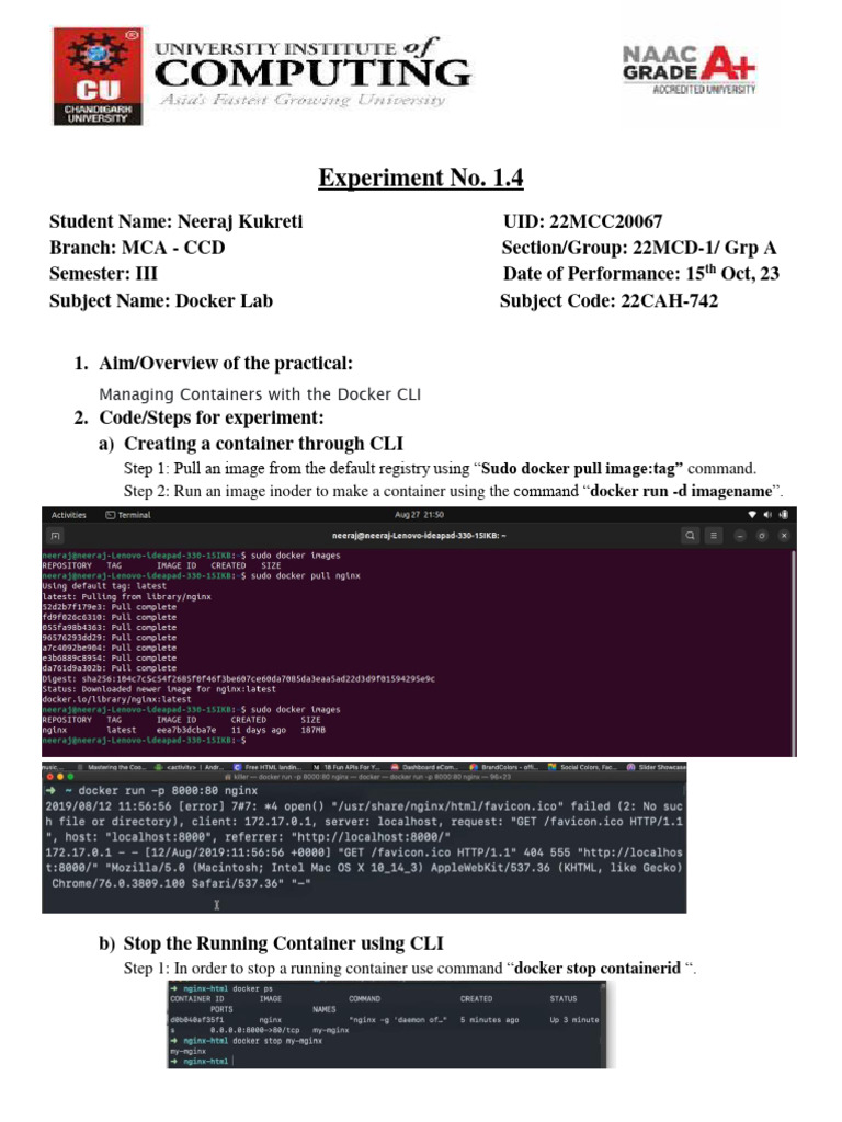 Docker CLI Container Management Guide | PDF