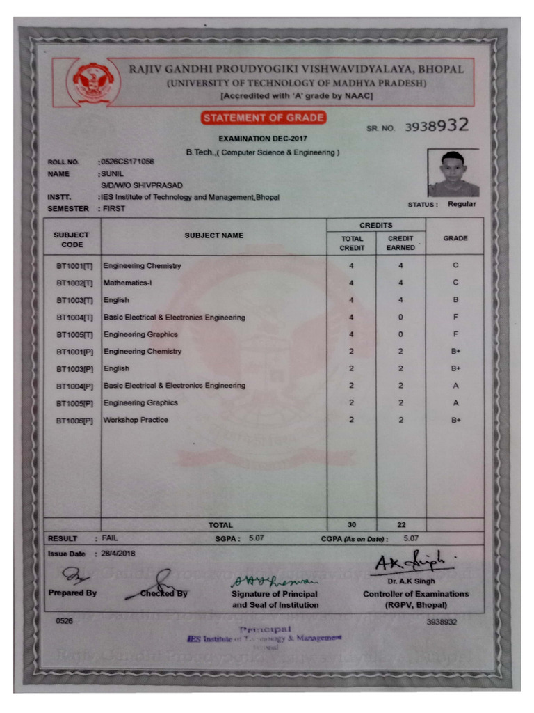 Graduation Marksheet | PDF
