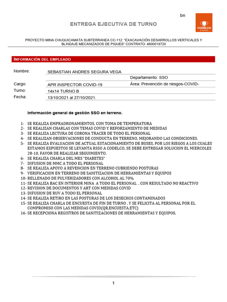 Informe Entrega de Turno | PDF