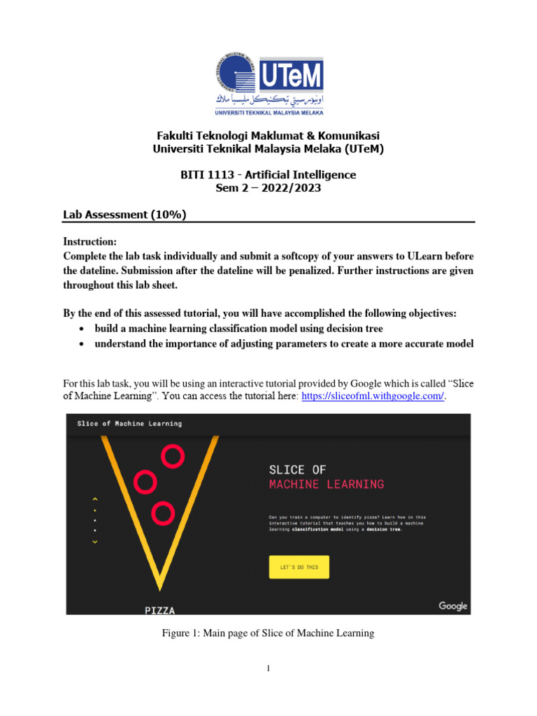 BITI 1113 12223 Lab Assessment | PDF | Accuracy And Precision | Machine Learning
