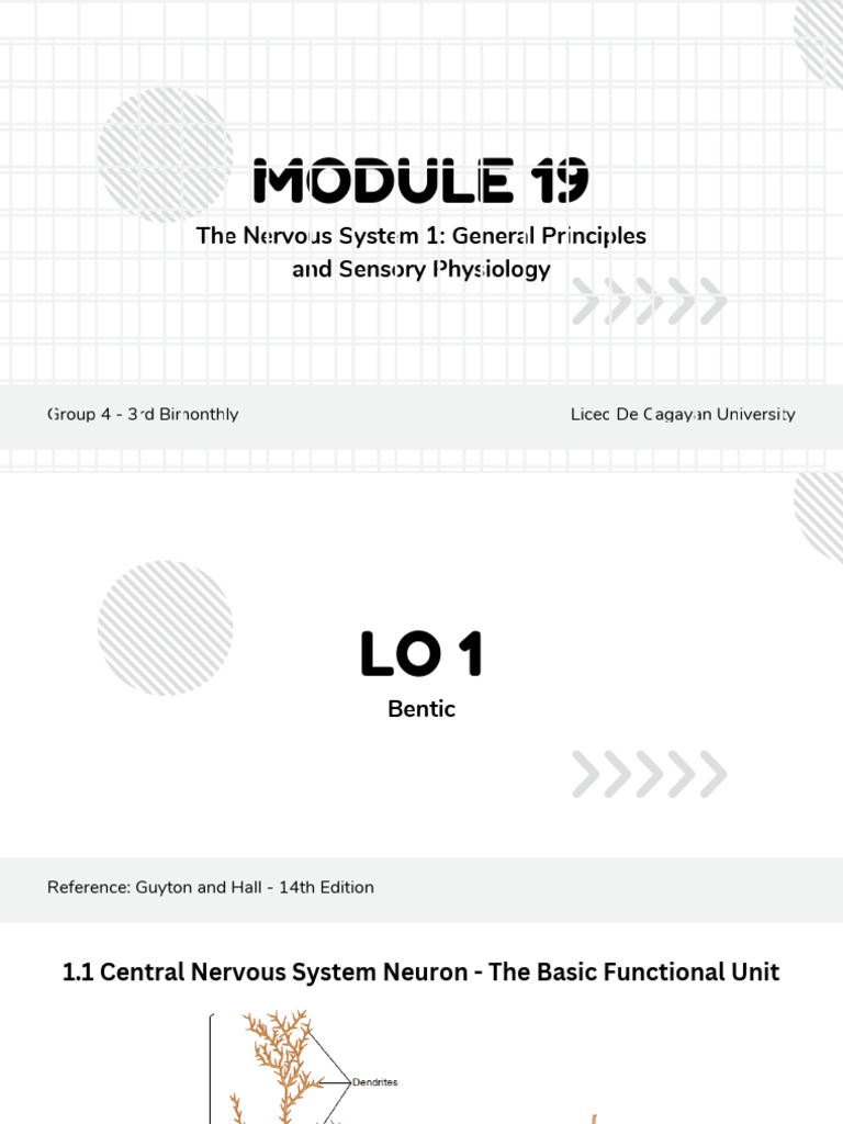 Module 19 | PDF | Chemical Synapse | Inhibitory Postsynaptic Potential