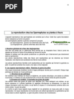 Le Carpelle : Organe des Angiospermes | PDF | Fruit | Embryon