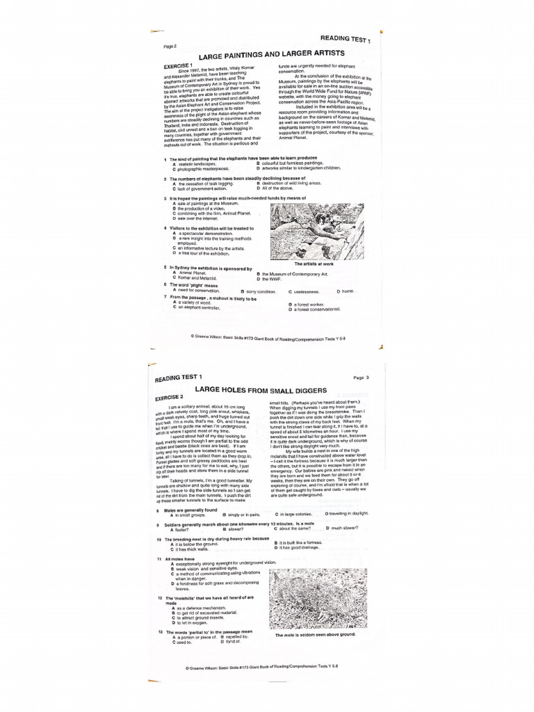 Basic Skill Comprehension 173 | PDF