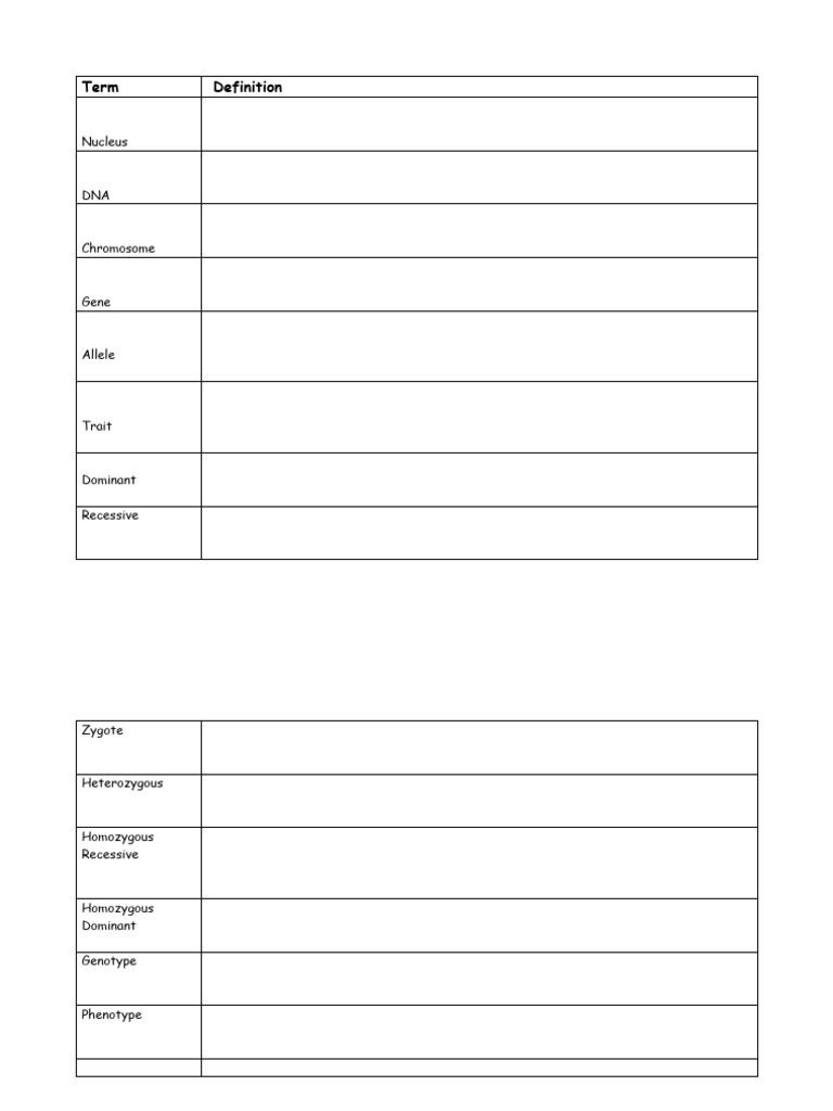 Genetics Vocabulary Graphic Organizer | PDF