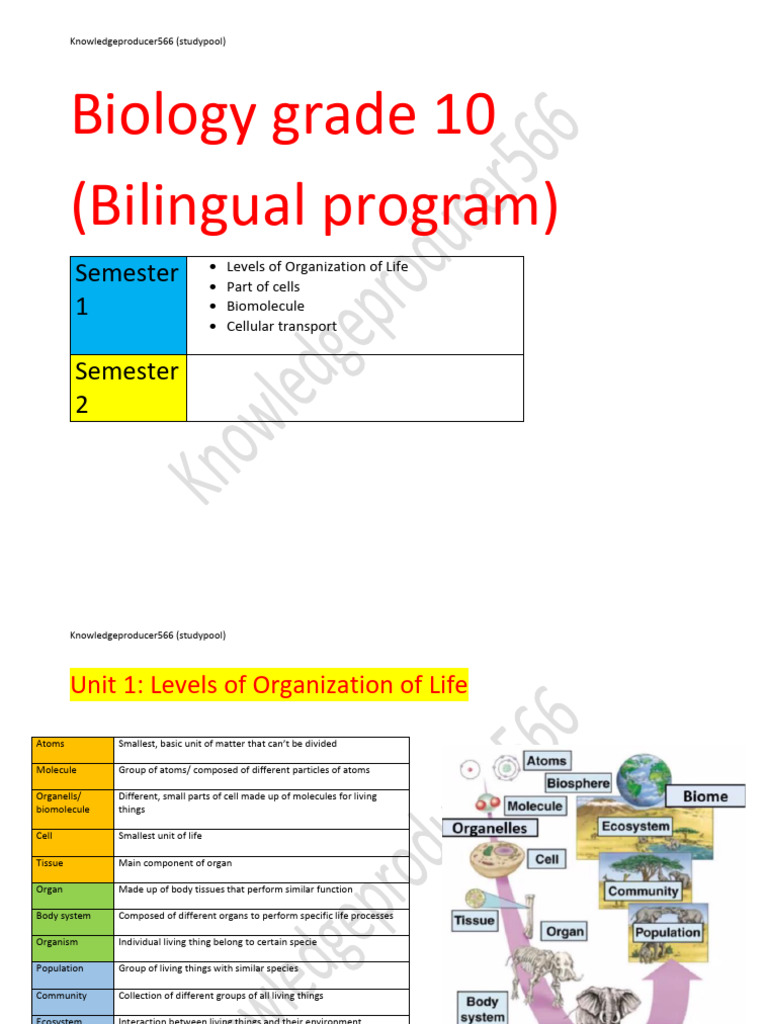Biology 10 Semester 1 (Bilingual Program) | PDF | Cell (Biology) | Cell ...