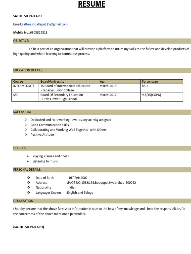 Satheesh Resume | PDF