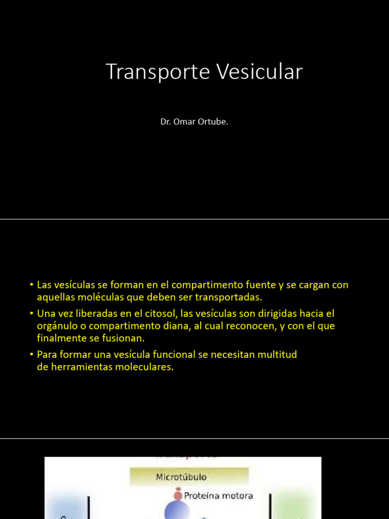 Transporte Vesicular | PDF | Vesícula (biología y química) | Procesos ...