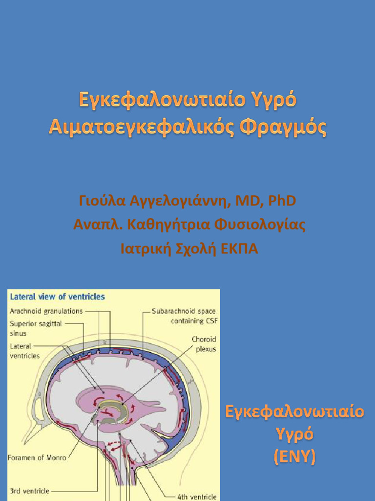 ΕΝΥ ΑΕΦ ΙΑΤΡΙΚΗ 2023 | PDF