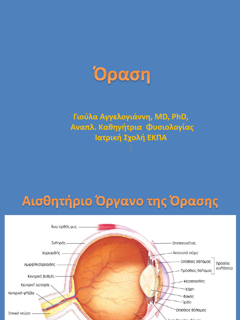 ΟΡΑΣΗ 2023 | PDF