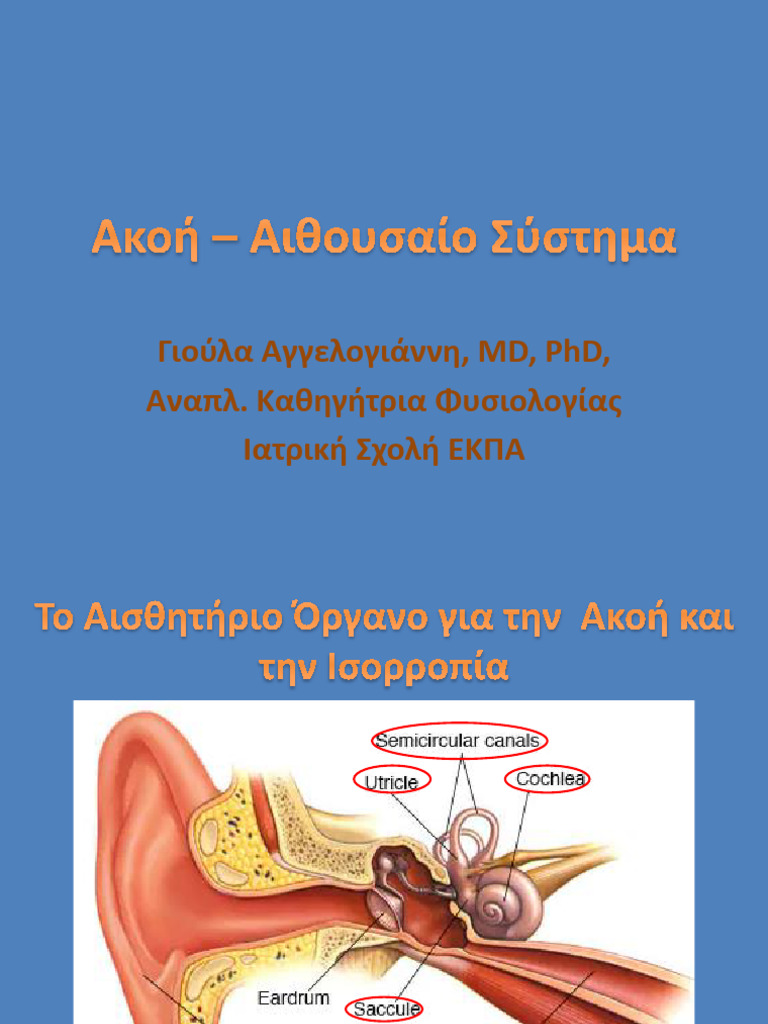 ΑΚΟΗ ΑΙΘΟΥΣΑΙΟ ΟΣΦΡΗΣΗ ΓΕΥΣΗ ΤΕΛΙΚΟ 2023 | PDF