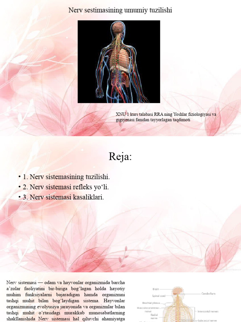 Nerv Sestimasining Umumiy Tuzilishi | PDF