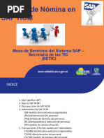 Manual SAP HCM: Guía de Usuario y Soporte | PDF | Bancos