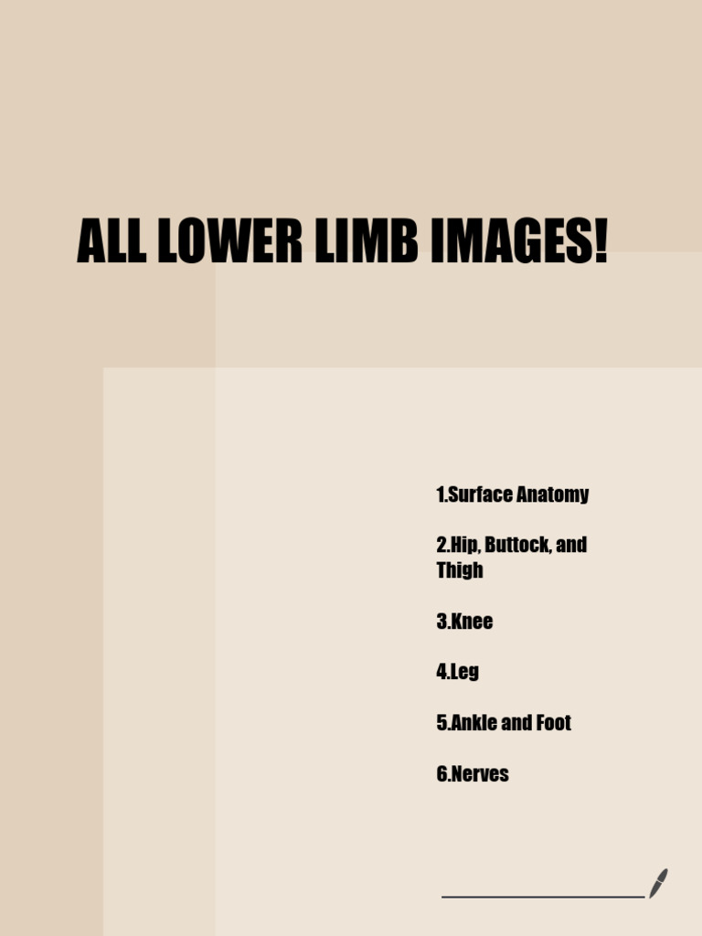 All Lower Limb Images | PDF | Human Leg | Knee