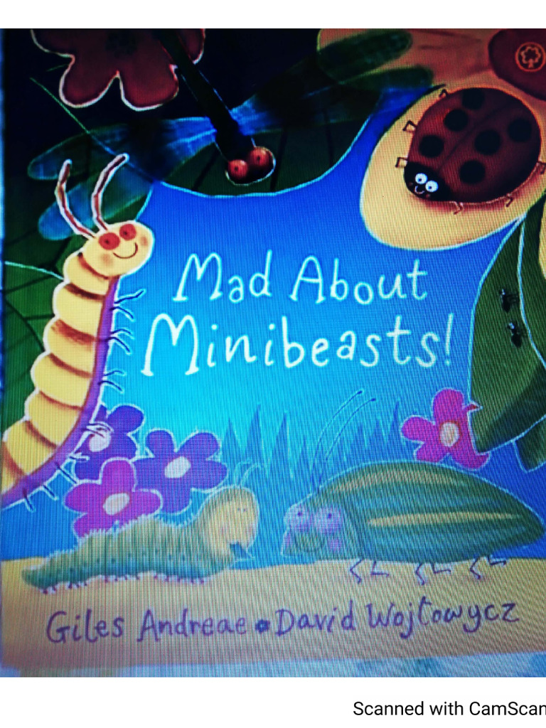 Mad About Minibeast | PDF