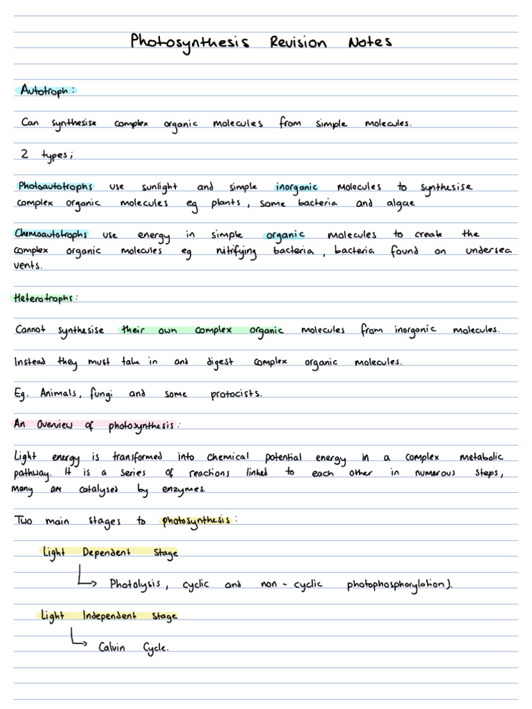Biology Photosynthesis A-Level OCR Notes | PDF | Photosynthesis ...