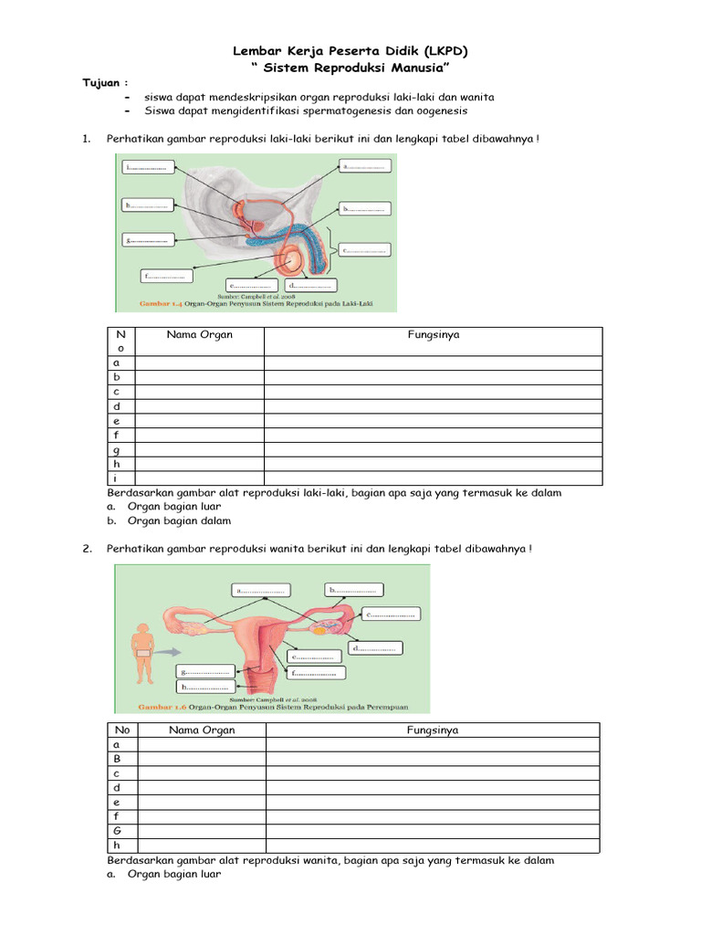 LKPD Sistem Reproduksi Manusia | PDF